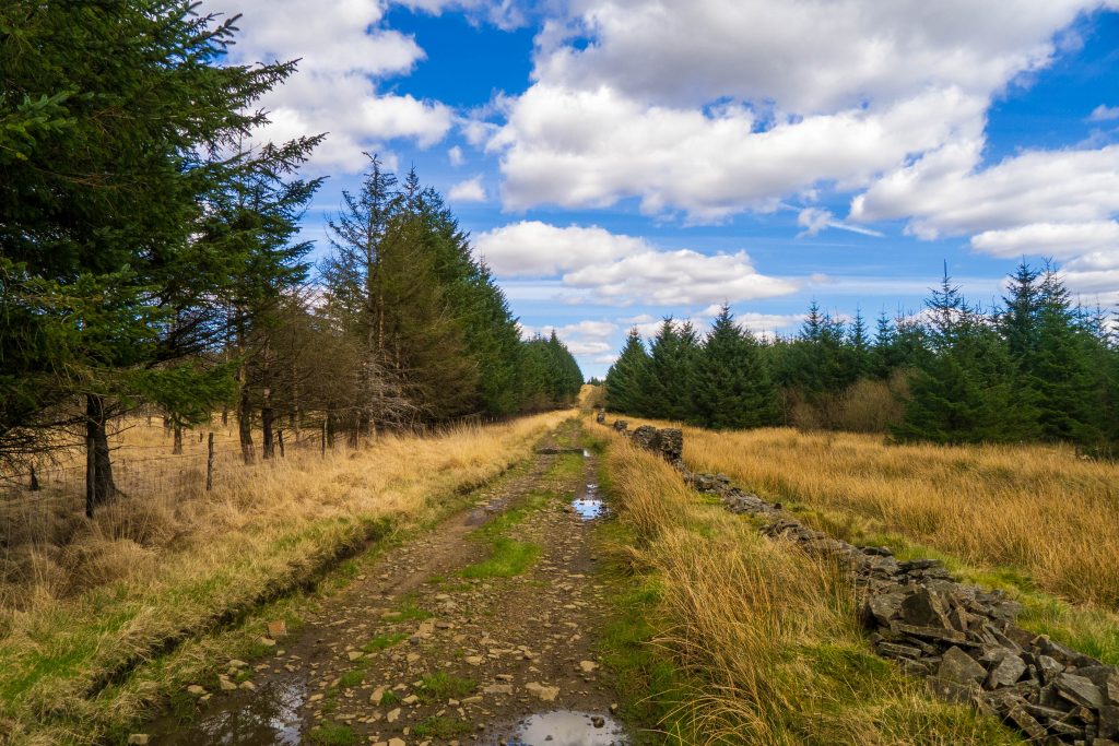 Walking Sarn Helen Roman Road - From Banwen to Crynant - Chris J Richards
